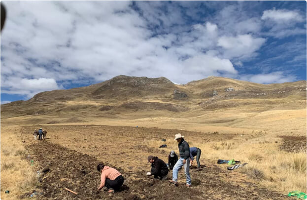 Maca Retreat